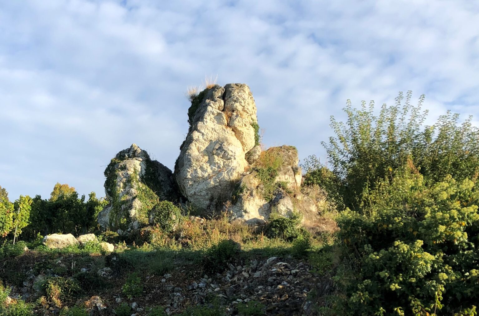 Ortsteil Zell – Gemeinde Zellertal